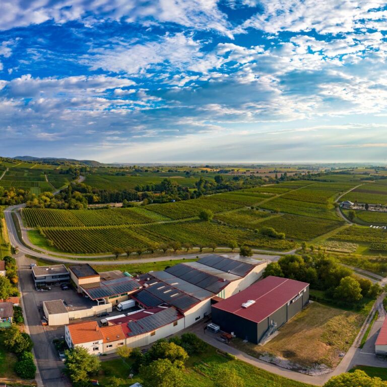 Wissing – Wissing – DIE PFALZ. DER WEIN
